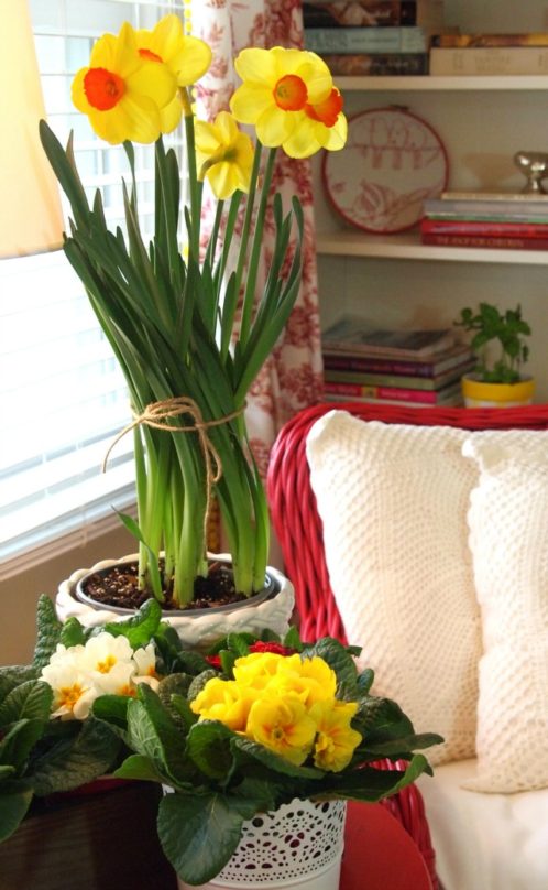 Tabletop Spring Garden - A Cultivated Nest