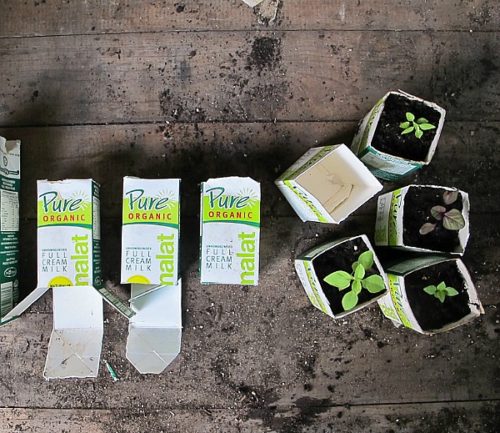 15 Creative Seed Starting Ideas- DIY Seed Containers- A Cultivated Nest