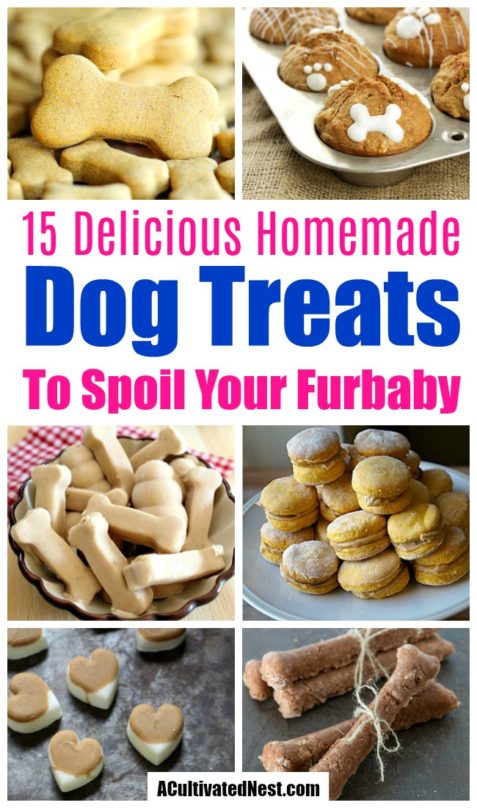 20 Homemade Fall Dog Treats- Fall + Halloween Treats- A Cultivated Nest