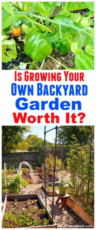 Is Growing Your Own Backyard Garden Worth It?- A Cultivated Nest