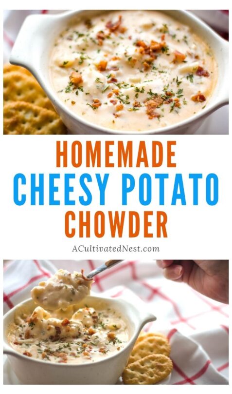 Delicious Cheesy Potato Chowder Recipe- A Cultivated Nest