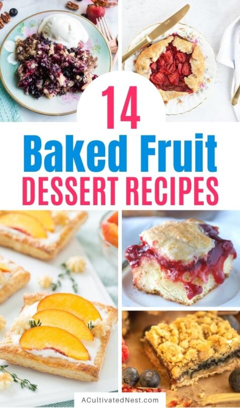 20 Incredible Baked Fruit Dessert Recipes- A Cultivated Nest