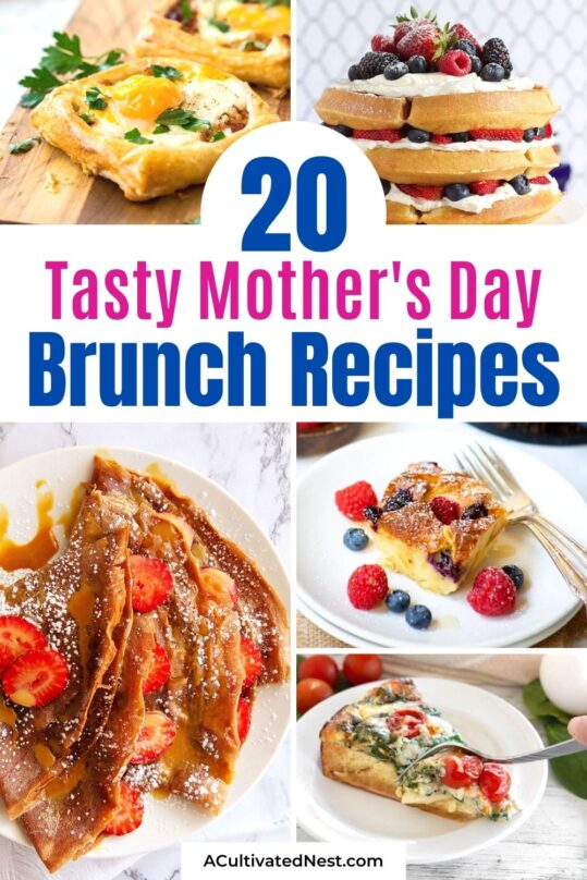 16 Cute Mother’s Day Breakfast-in-Bed Ideas - A Cultivated Nest