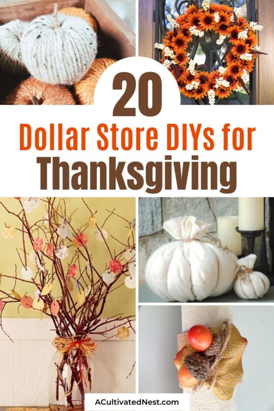 16 Budget-Friendly Thanksgiving Decorations- A Cultivated Nest