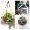 24 Pretty DIY Terrarium Ideas- A Cultivated Nest