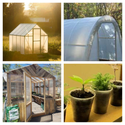 24 Easy DIY Greenhouse Ideas- A Cultivated Nest