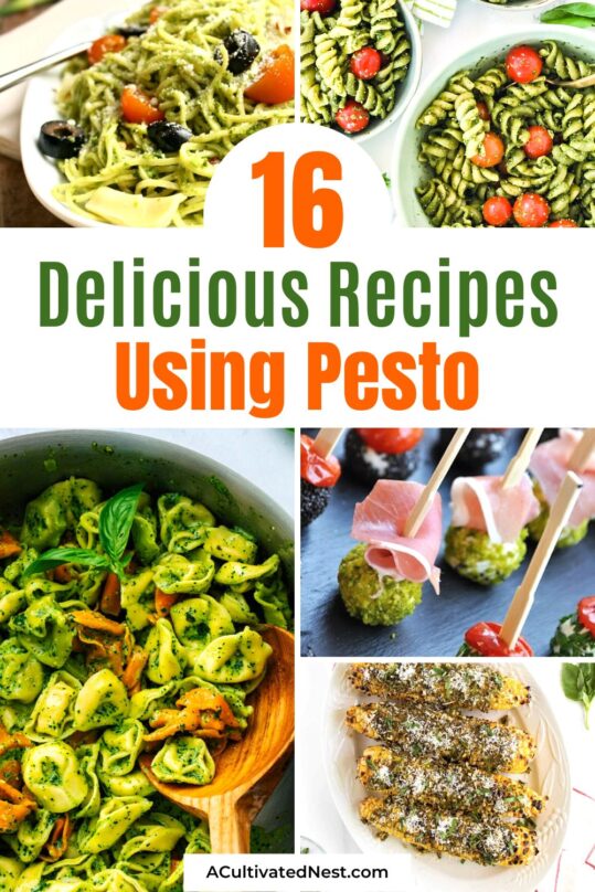 16 Delicious Ways to Use Pesto- A Cultivated Nest