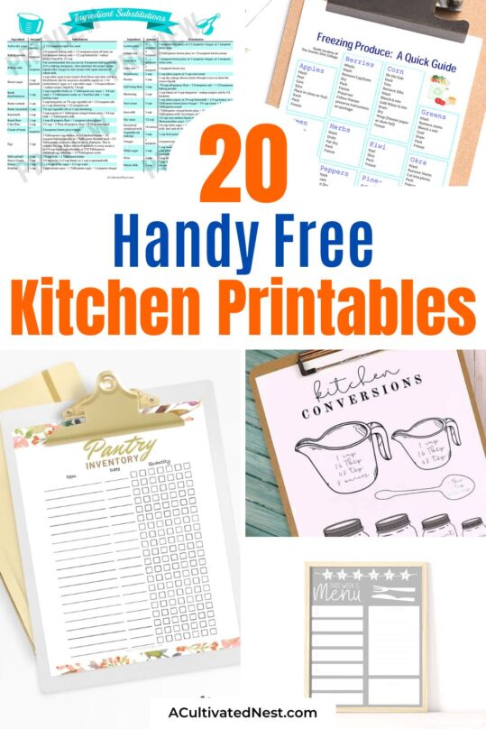 20 Handy Free Kitchen Printables- A Cultivated Nest