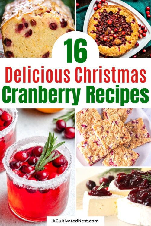 16 Delicious Christmas Cranberry Recipes- A Cultivated Nest