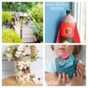 16 Clever Plastic Packaging Upcycle Crafts- A Cultivated Nest