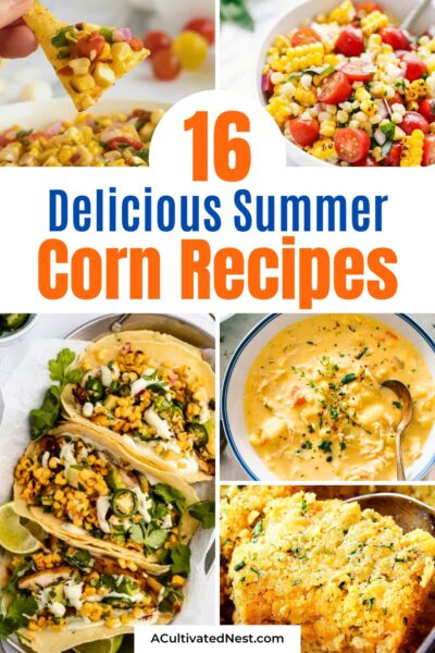 16 Delicious Summer Corn Recipes- A Cultivated Nest