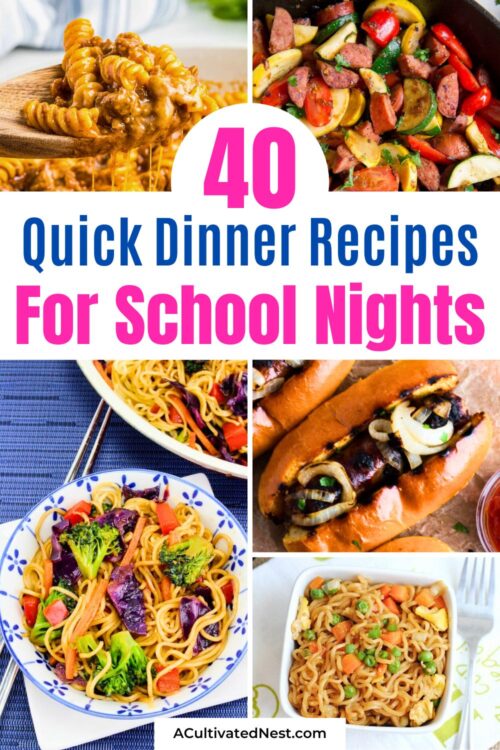 40 Quick Dinner Recipes for Busy School Nights - A Cultivated Nest