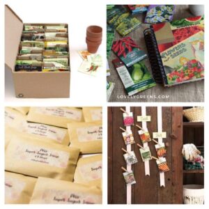 16 Ways to Organize Seeds for Gardening- A Cultivated Nest