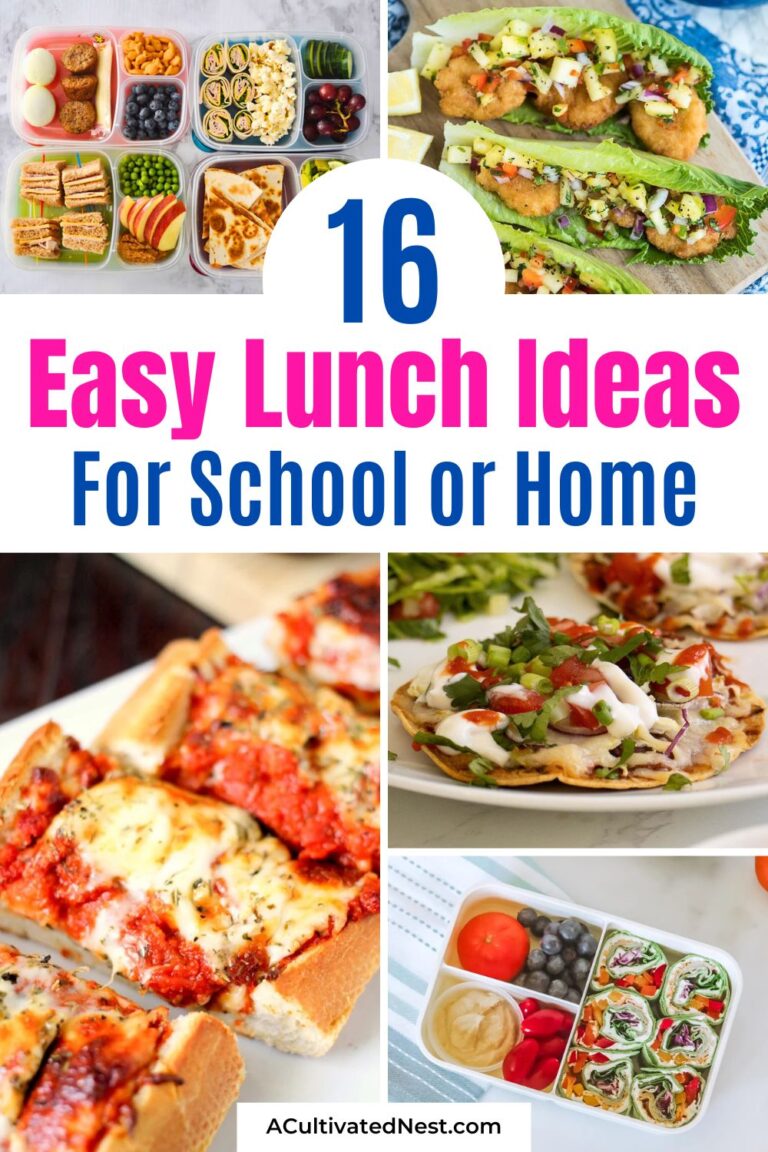 16 Easy Lunch Ideas for School or Home- A Cultivated Nest