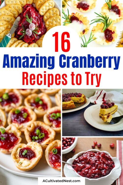 16 Best Ever Cranberry Sauce Recipes - A Cultivated Nest