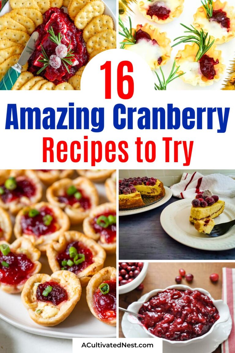 16 Best Ever Cranberry Sauce Recipes - A Cultivated Nest