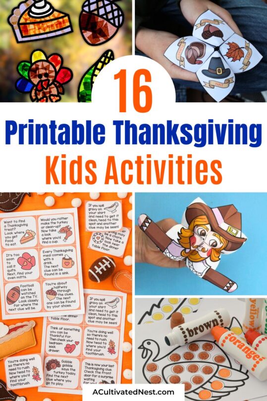 16 Printable Thanksgiving Activities to Keep Kids Busy During Dinner ...