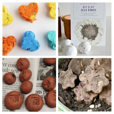 16 Easy DIY Seed Bombs for Your Garden - A Cultivated Nest