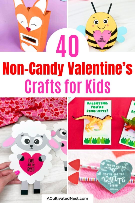 40 Non-Candy Valentine Crafts for Kids - A Cultivated Nest